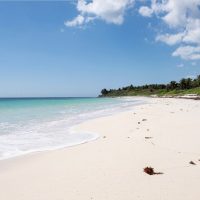 Xcacel : El secreto mejor guardado de la Riviera Maya - Viva Playa