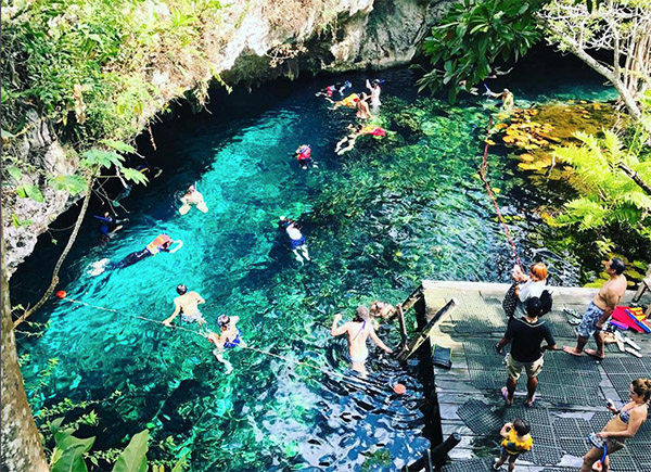 Cenotes Playa del Carmen - Viva Playa
